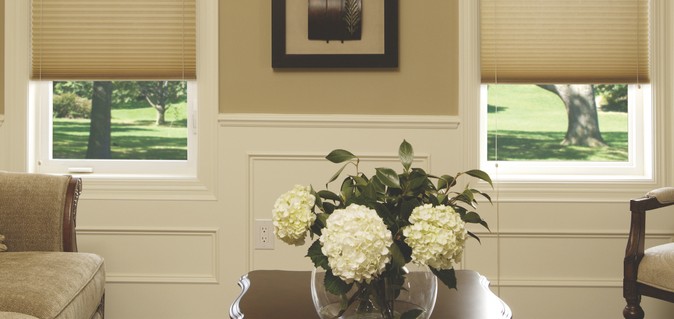 3 Must-Know Facts about Top-Down Bottom-Up Blinds